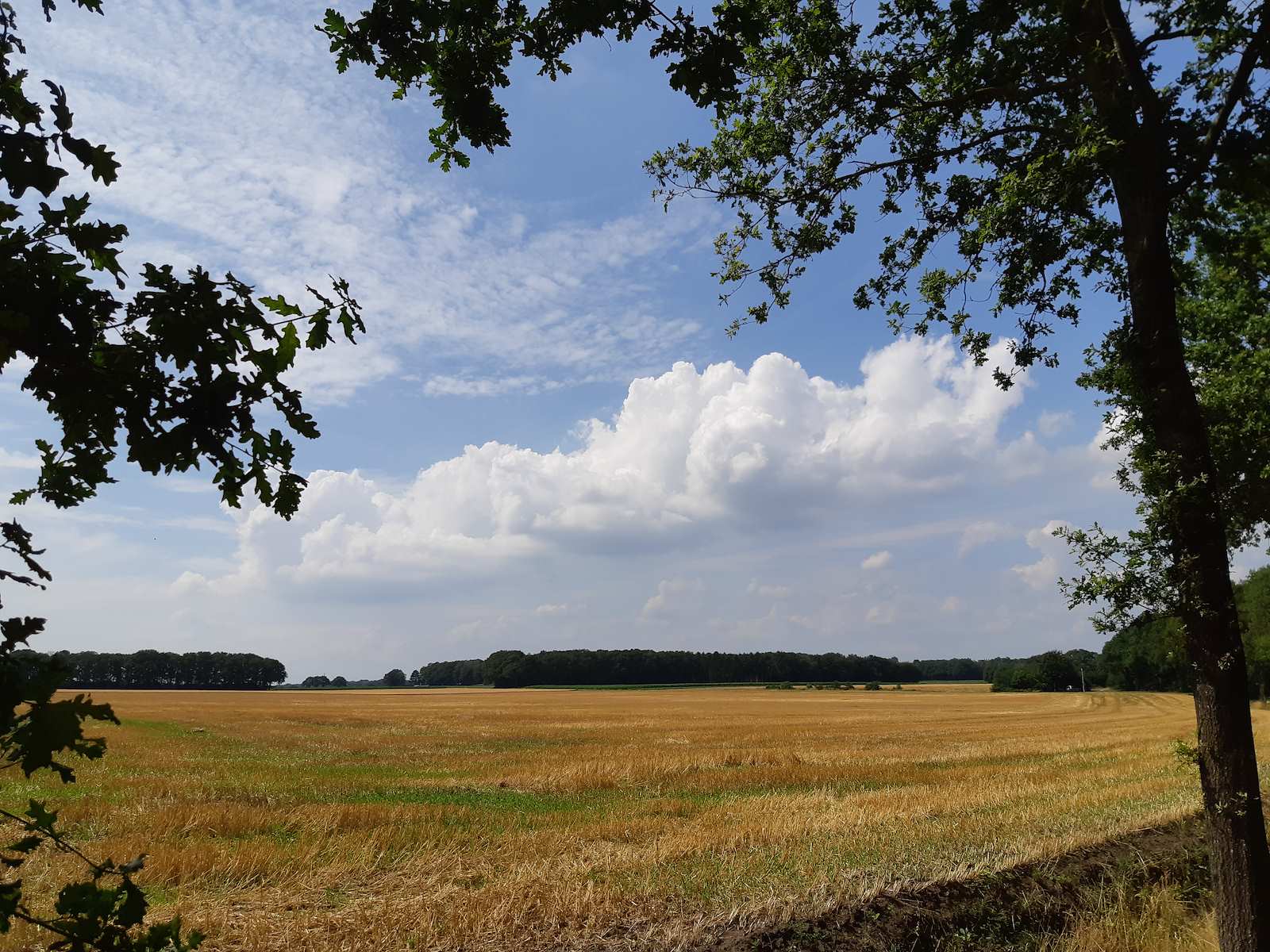 Markelo | Omgevingsvisie Hof van Twente